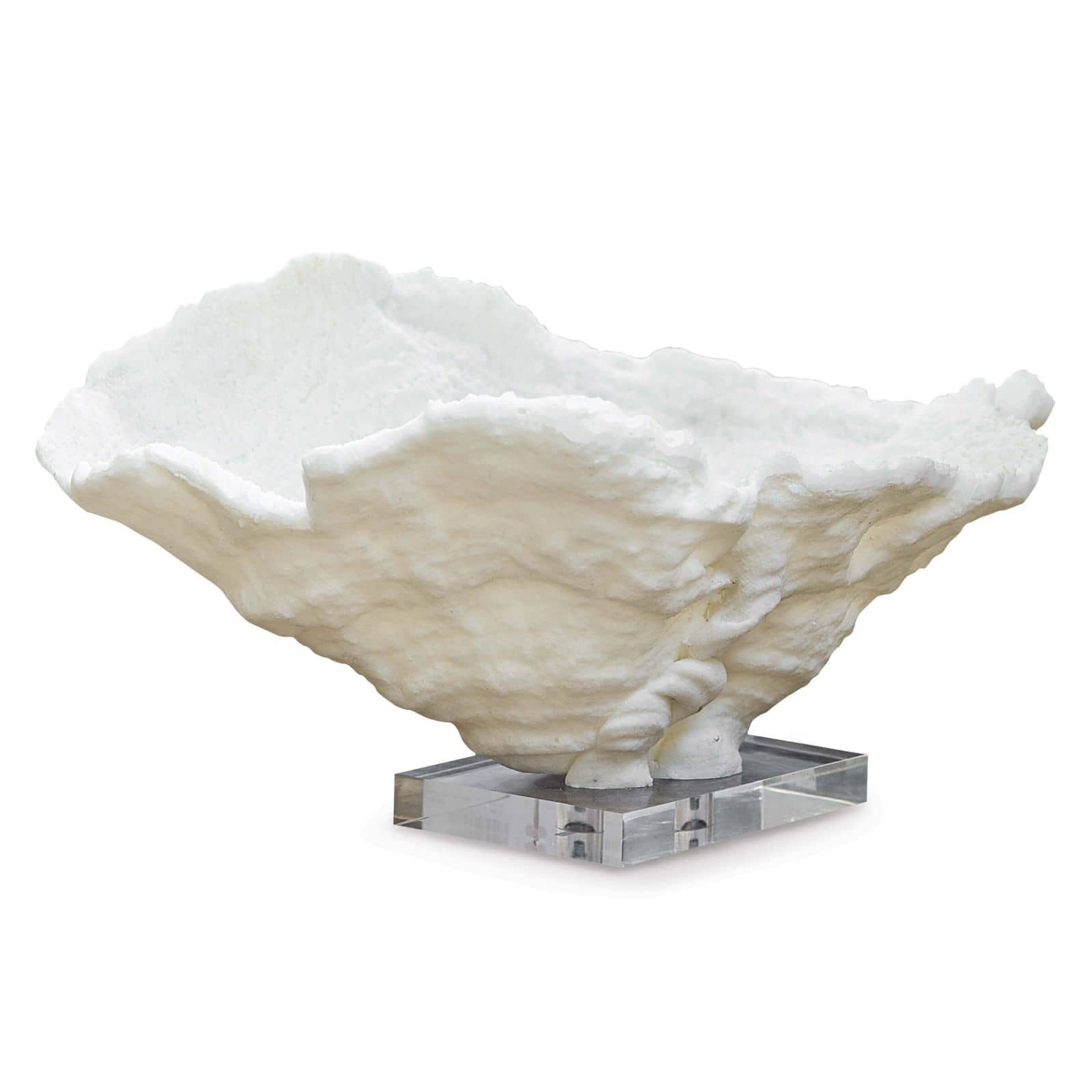Coral Reef Bowl – Finch & Co